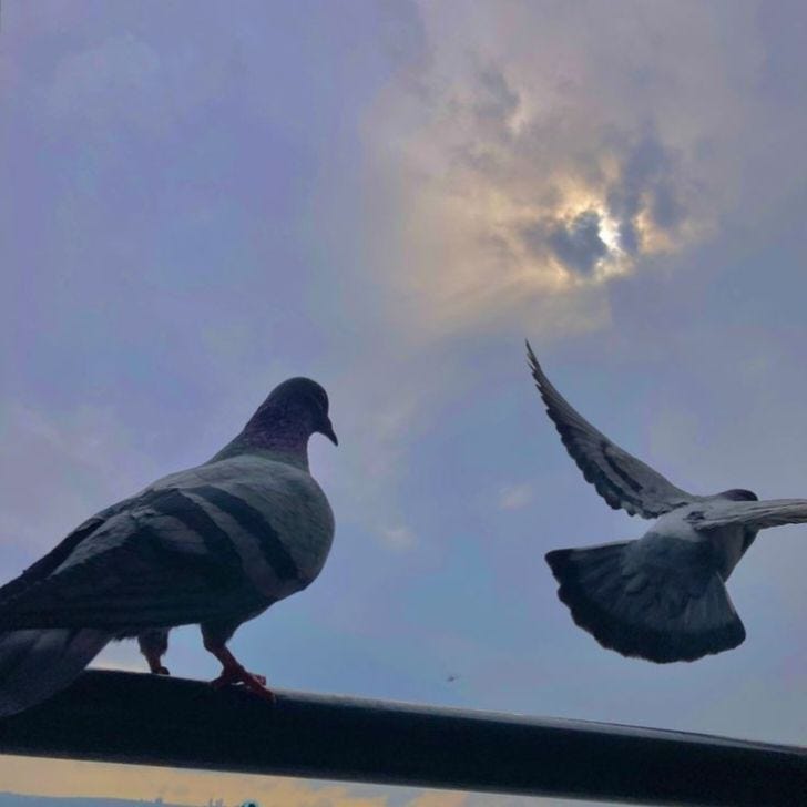 The Algorithm of Life.. Algorithm works! | by Aparnaa Nanda | Medium