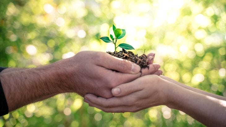 The Rise of Eco-Friendly Gifting. Eco-Friendly Gifting on the Rise ...