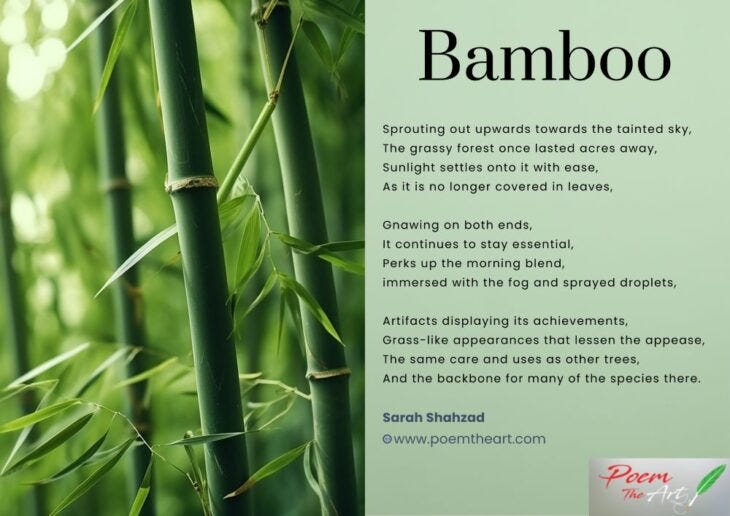 Bamboo. Free Verse Poem, Poem on Environment… | by Farhan Asif Yousaf Zai | Medium