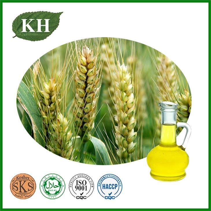 Wheat Germ Oil for cosmetic - kingherbs - Medium