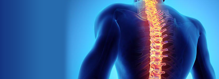 Spinal Cord Abnormality. A 23-year-old student from Ananthpur… | by ...