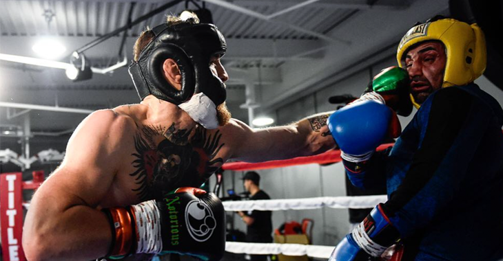 Punch Drunk Boxers Get All