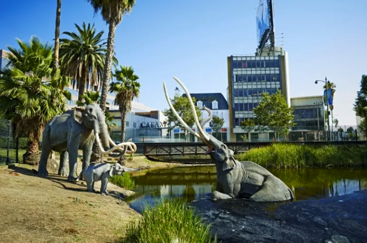 The La Brea Tar Pits. As you step outside Los Angeles County… | by ...