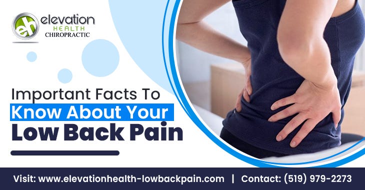 Important Facts To Know About Your Low Back Pain | by Noah Jackson | Medium