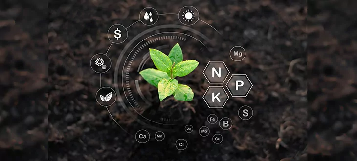 The Ultimate Guide to Digital Soil Mapping: an Introduction | by Alfiya ...