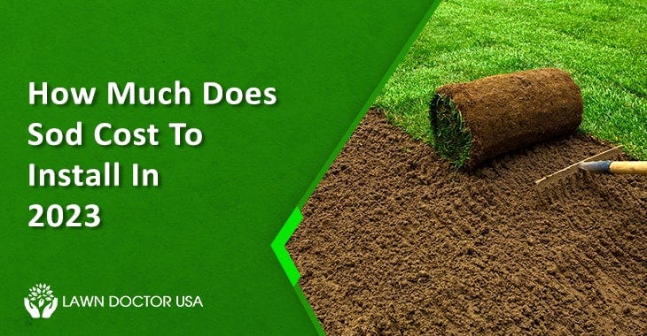 How Much Does Sod Cost To Install In 2023 | by Ericedukes | Medium