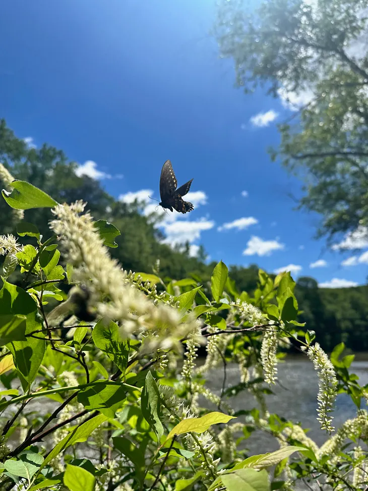 The most insightful stories about Men - Medium