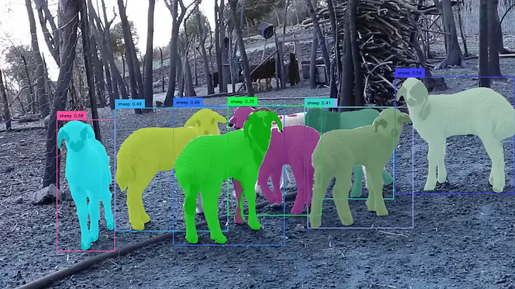 The Most Insightful Stories About Image Segmentation Medium