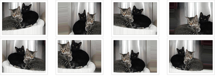 Data Augmentation And Keras Tuning For Feed Forward Neural Network By Tanmaysafal Medium