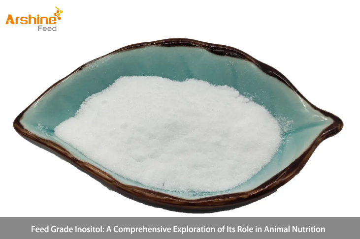 Feed Grade Inositol: A Comprehensive Exploration of Its Role in Animal ...