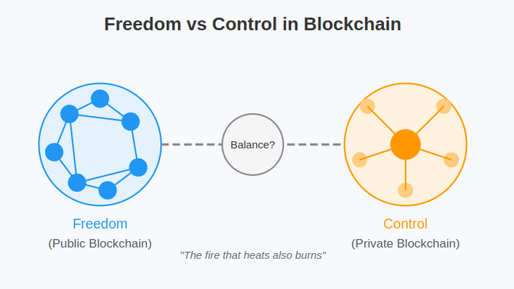 Public vs Private Blockchains: Freedom vs Control | by Adinoexgreatness ...