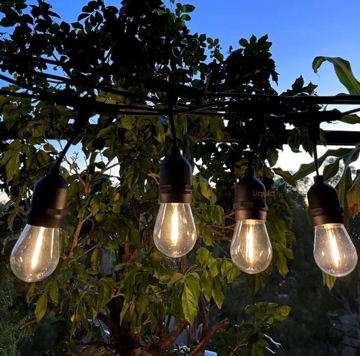 Buy Festoon Lights at LiquidLEDs - Declan Mackinolty - Medium