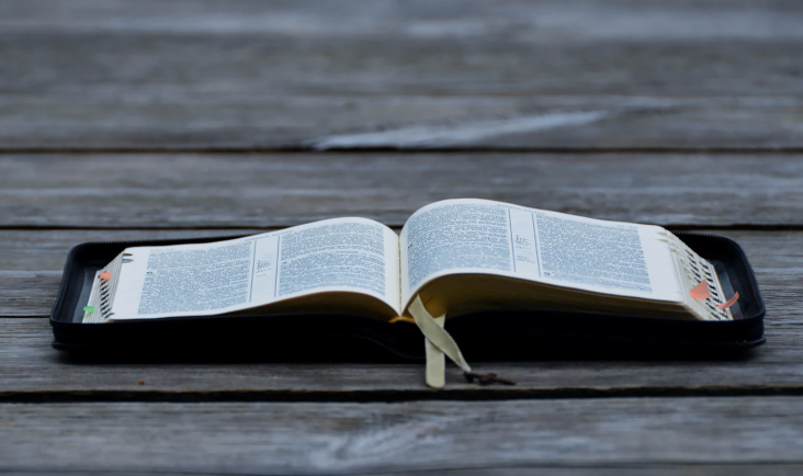 Python: Dict Setdefault And Getdefault | by Coder's Cat | Coding Clever ...