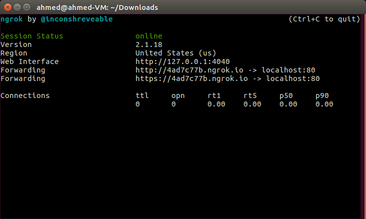 How to Make your localhost Online on Ubuntu? | by Ahmed Lekssays | Ahmed Lekssays | Medium