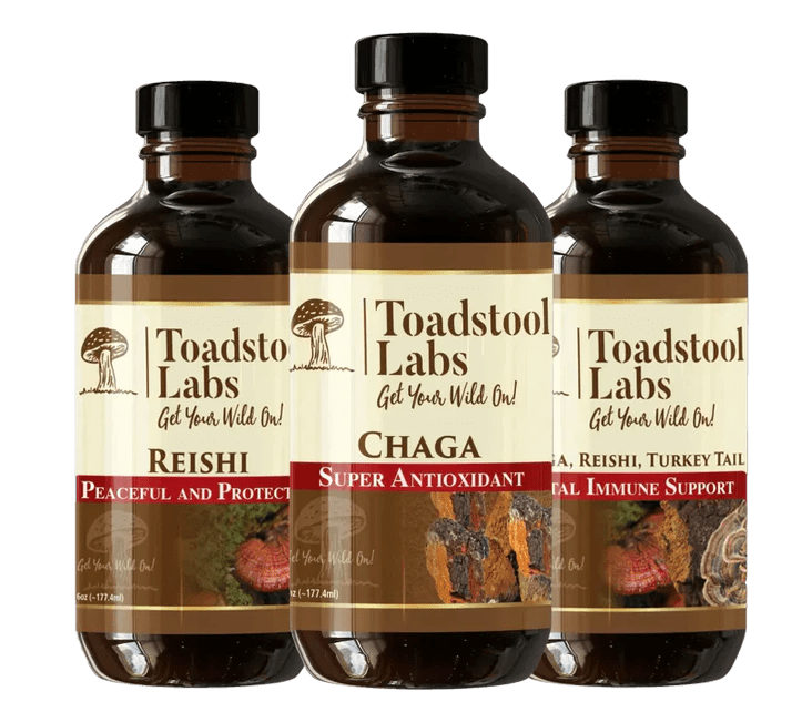 Chaga and Reishi Mushrooms: Nature’s Secret to Vitality and Wellness | by Toadstoollabs | Jun ...