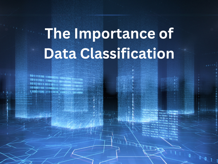 Unleashing the Potential: The Importance of Data Classification | by ...