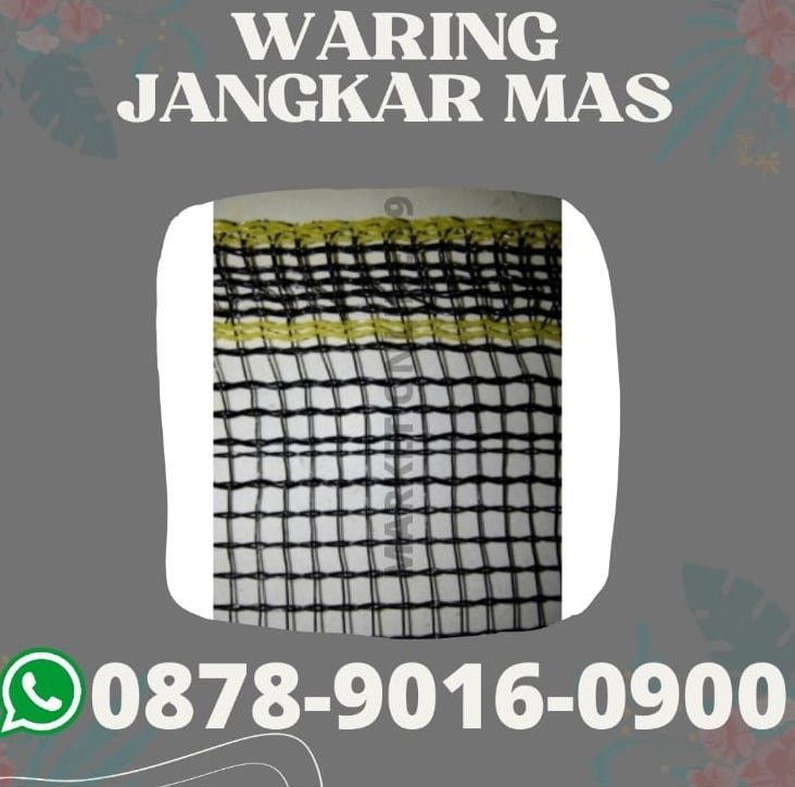Best Price, WA+6287890160900, Suplier, waring ikan lele, Surabaya ...