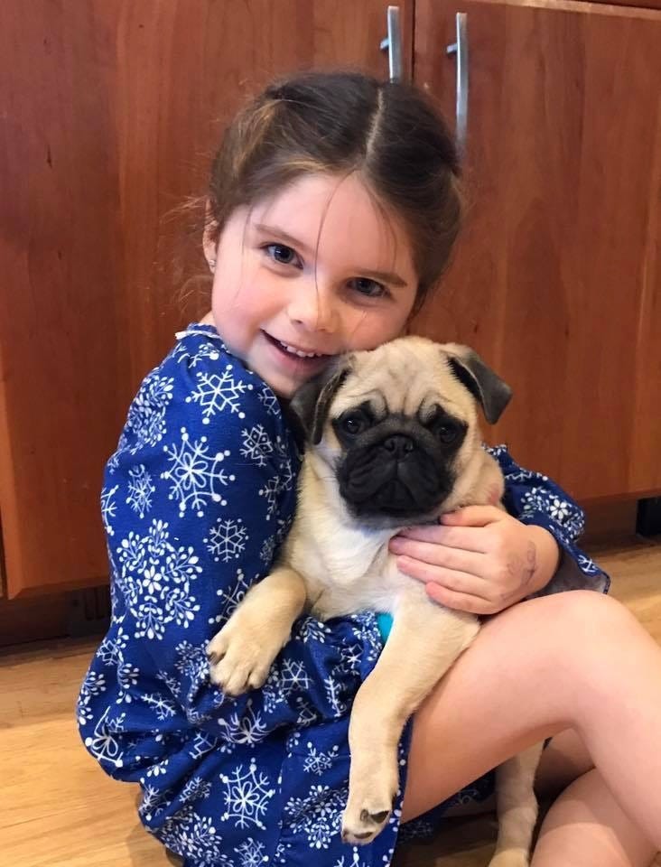 Pugger. I flew to Oklahoma to get him. The flat… | by Alan Townsend ...