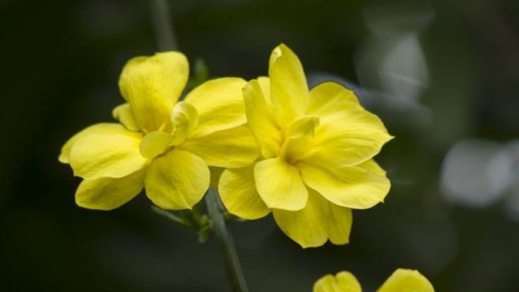 Dua Ribu Dua-Tiga. 2023 | by Aridha Elfa | Medium