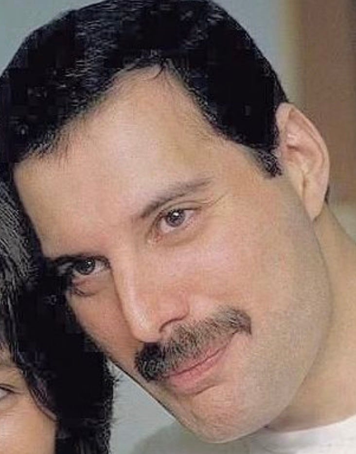 When Freddie Met Fido: A Tale of Funny Dogs and Rock ‘n’ Roll Legends ...