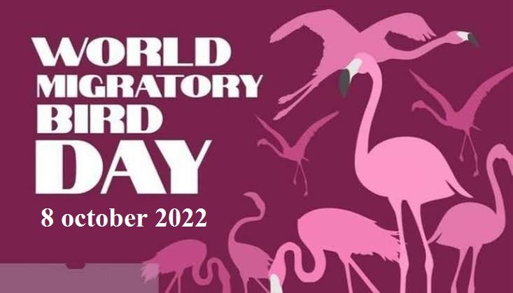 The 8th of October is designated as World Migratory Bird Day in 2022 ...