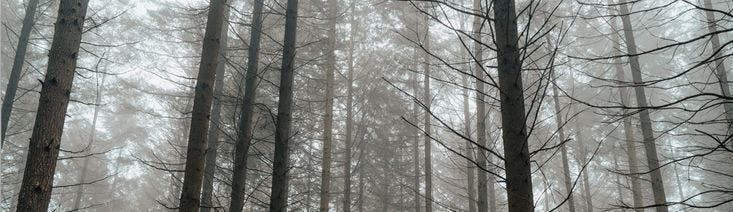 Dear, Anna. | by | Feb, 2024 | Medium