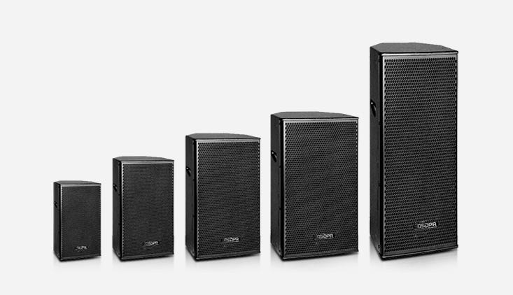 12'’ Two-way Full Range Speaker D6565 - dsppacs - Medium