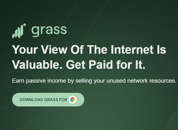 Turn Unused Bandwith into Lucrative Passive Income — GRASS 🌿 | by Ann ...