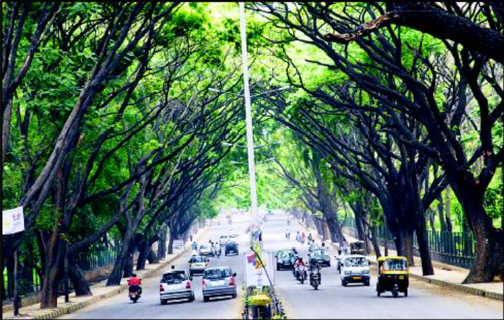 Beautiful City Roads