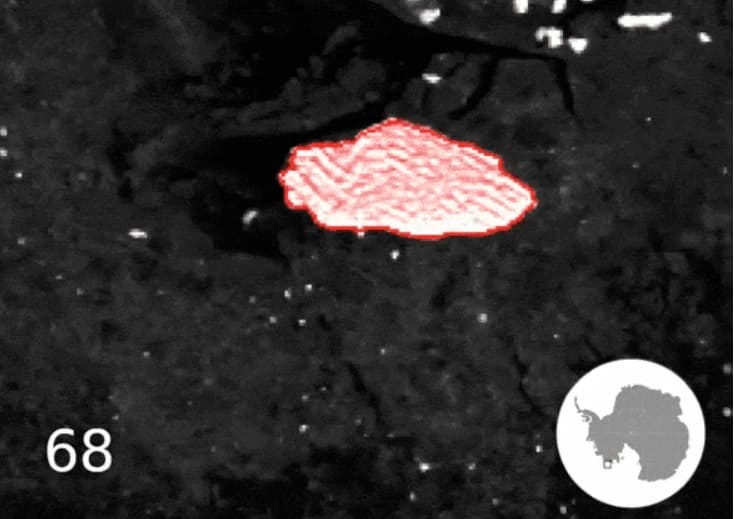 AI Revolutionizes Iceberg Monitoring: Tracking Melting 10,000 Times ...