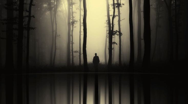 The Lake of Lost Souls. Nestled deep within the dense woods of… | by ...