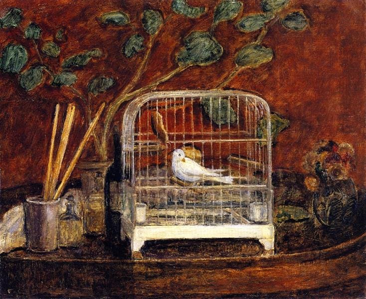 The Image of the Caged Songbird: A Literary and Musical History | by ...
