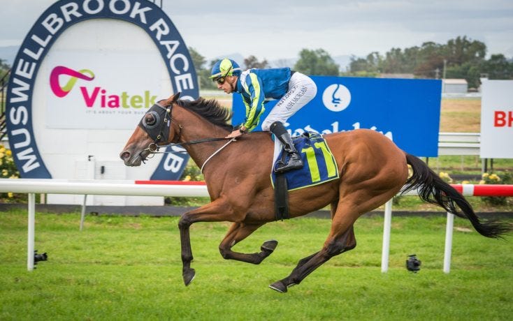 Muswellbrook Races Live Stream |Australian racing | by Watch Live 2024 ...