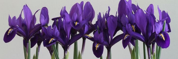 A legacy passed down.. My subconscious or anger whispering… | by ...