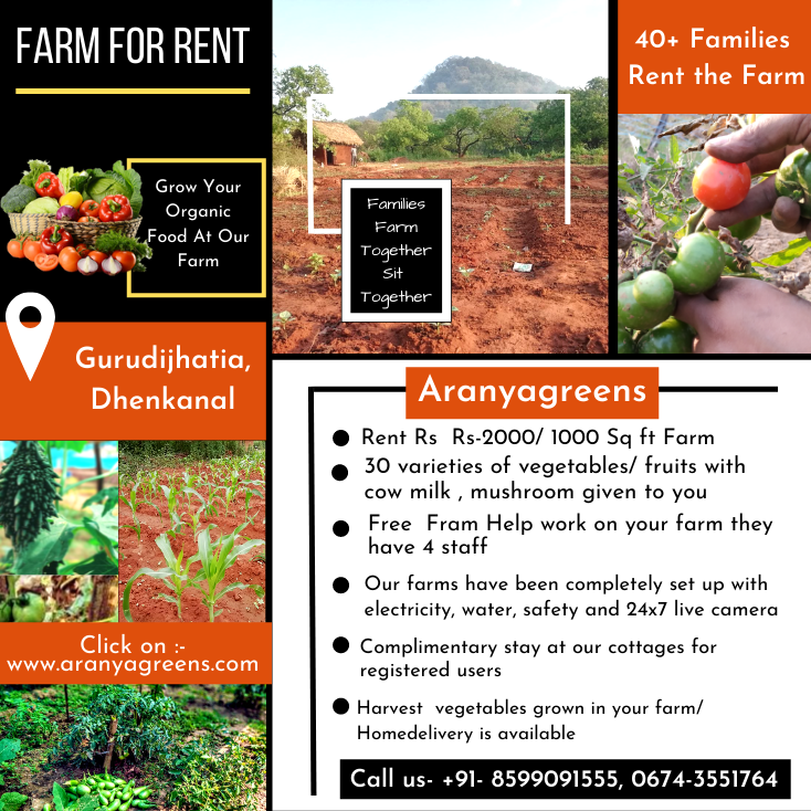 Why Is Self Farming is The Need Of The Hour? | by Aranyagreens | Medium