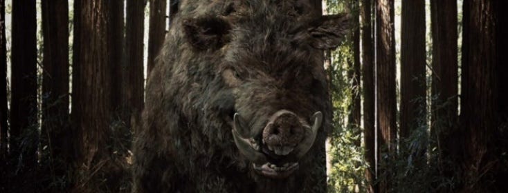 Film Review of Boar (2017). Either I’m pissed off my chest mate, or ...