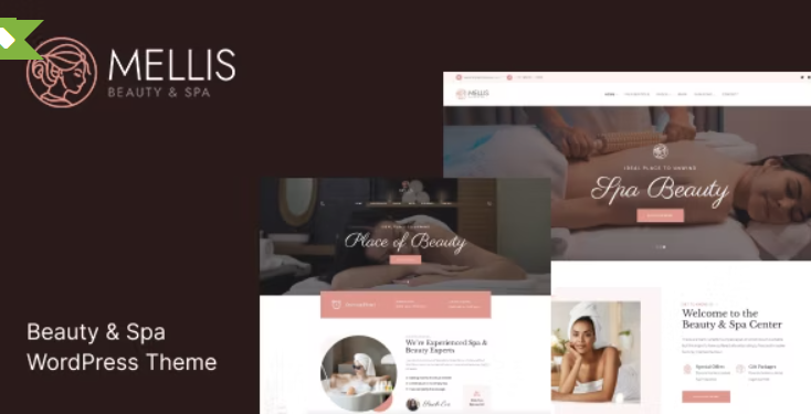 Best Spa WordPress Theme. Introduction | by Shivam kumar | Oct, 2023 | Medium