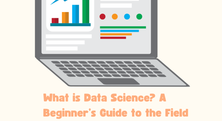 What Is Data Science? A Beginner’s Guide To The Field | by Ruhiparveen | Nov, 2024 | Medium