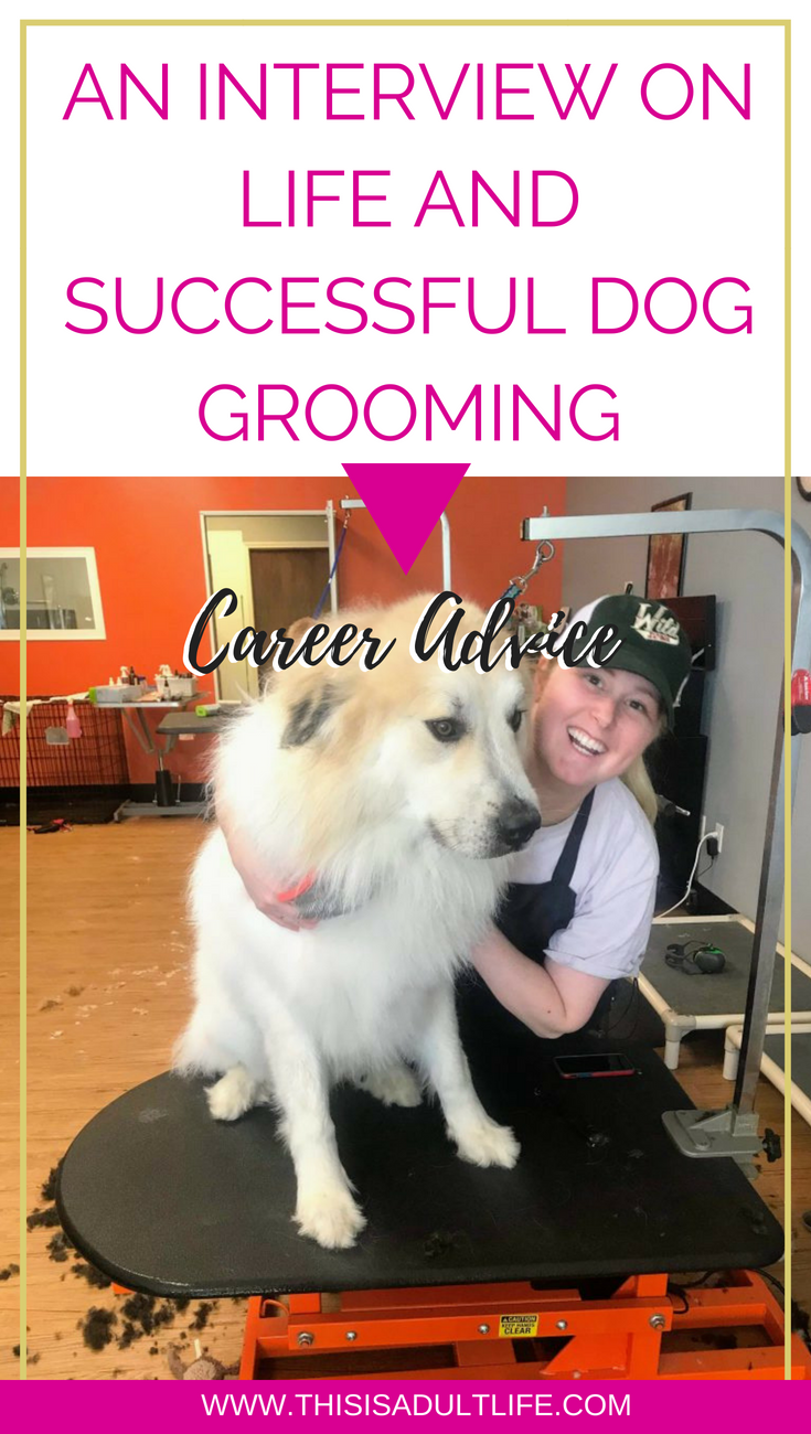 An Interview on Life and Successful Dog Grooming | by This is Adult ...