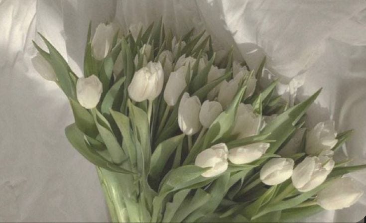 to my dearest, my self. Dari saya, kepada semua rencana yang… | by ...