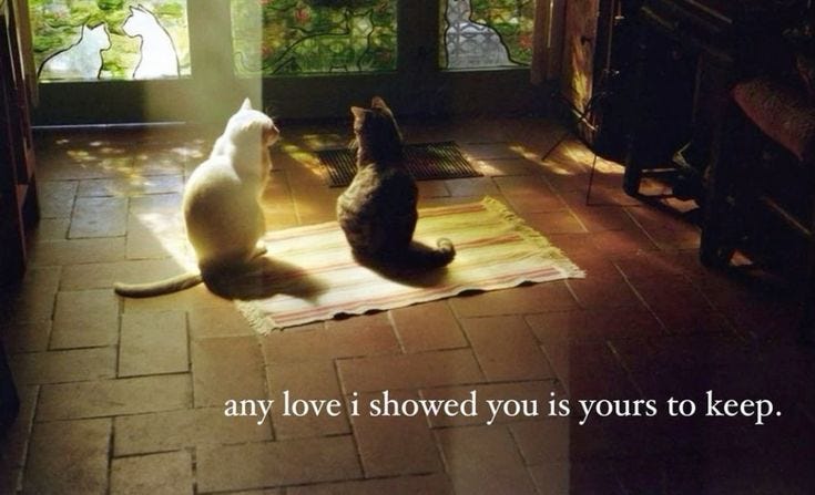 Any Love I Showed You is Yours to Keep. | by ciaa! | Medium