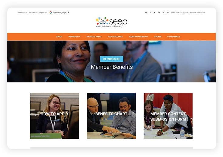 How to Build a Membership Website | by Lorrainewilson | Medium