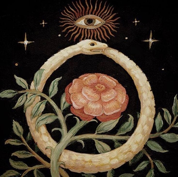 It’s the snake eating its own tail. I will never outdo my privilige, I ...