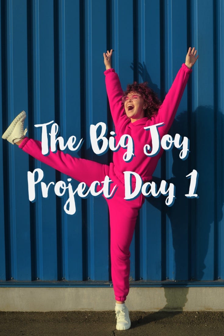 The Big Joy Project Day 1: A Gratitude Journal | by Sílvia P-M, PhD 🍂 ...