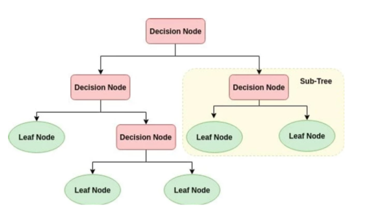 Introductory Guide to Decision Trees and Random Forests | by Surbhi ...