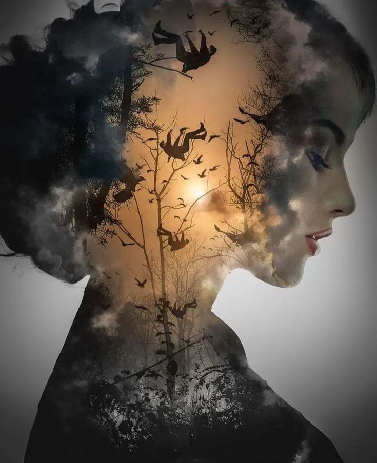Wisdom's whispers: Aisha's journey through the tapestry of Truth | by OMA_JADOON | Medium