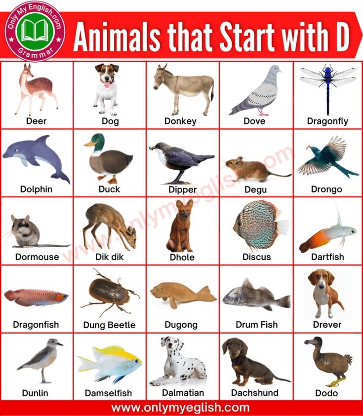 10 Animals Whose Name Starts with the Letter D | by Fakhar Hayaat | Medium