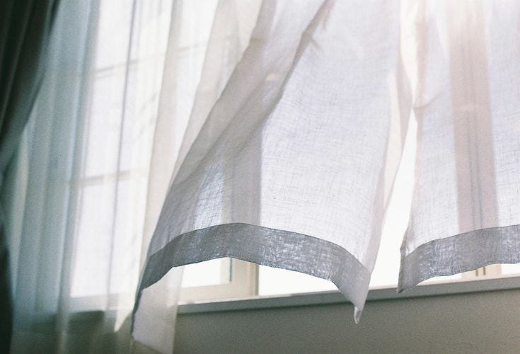 How a silent affection can be so loud without any words. | by mav | Medium