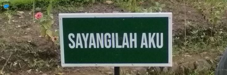 SOD. —imwinteh | by ★ | Medium