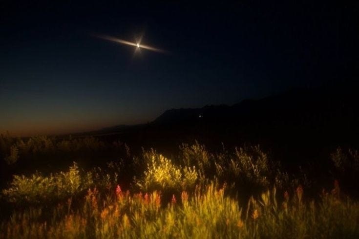 Sirius, The Brightest Star In The Night Sky. | by Alina | Nov, 2024 ...